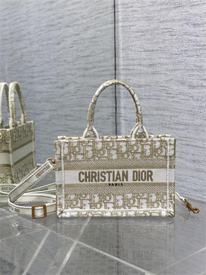 CD Mini Book Tote With Strap Oblique Embroidery White and Gold Tone ...