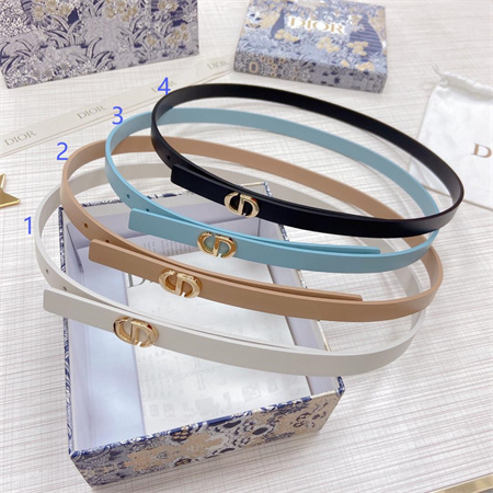 Dior Belts In Calfskin 15MM Gold Hardware Color Options – hazelluxury